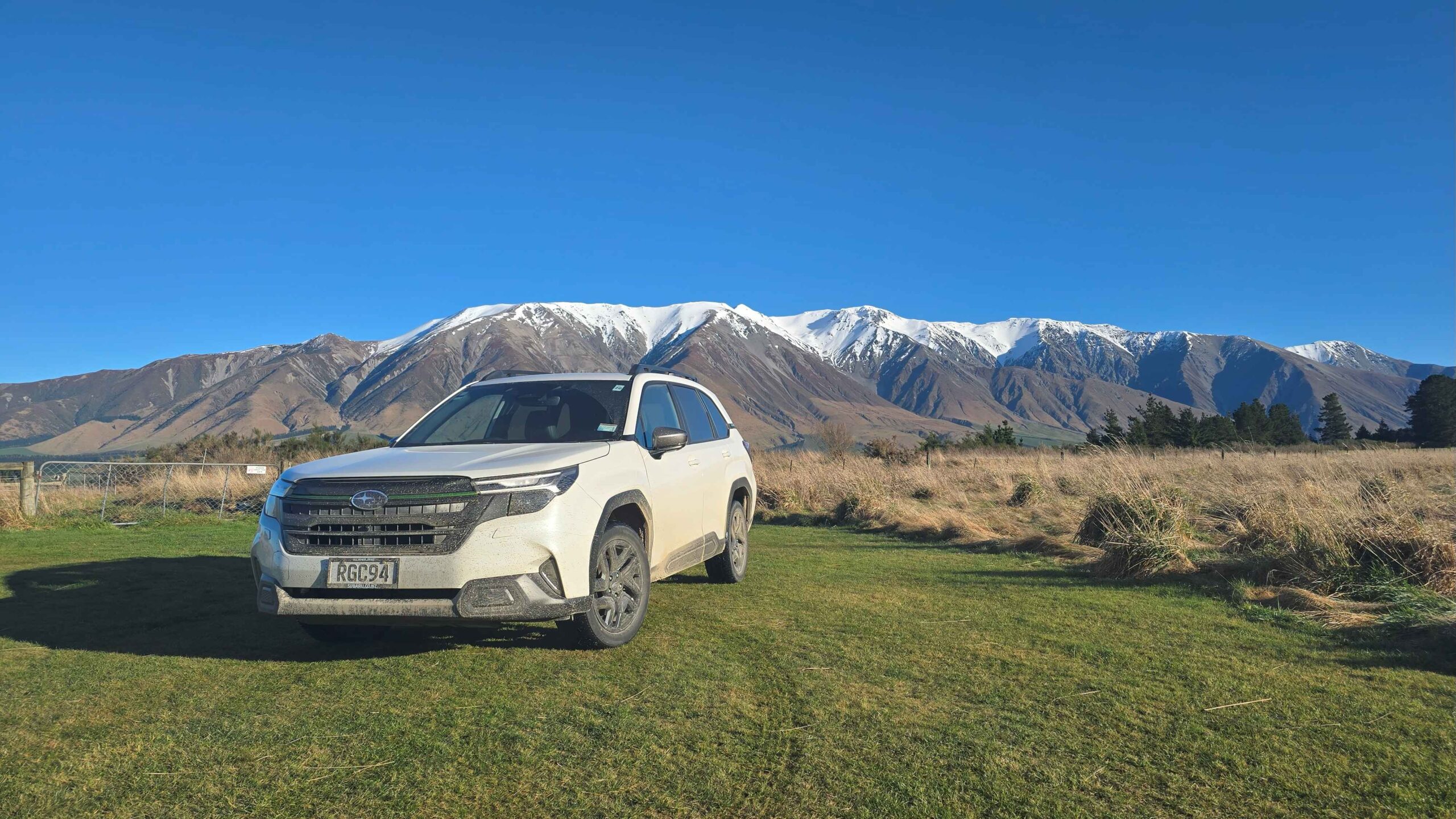 All-new 6th Gen Subaru Forester - first drive NZ | Tarmac Life ...